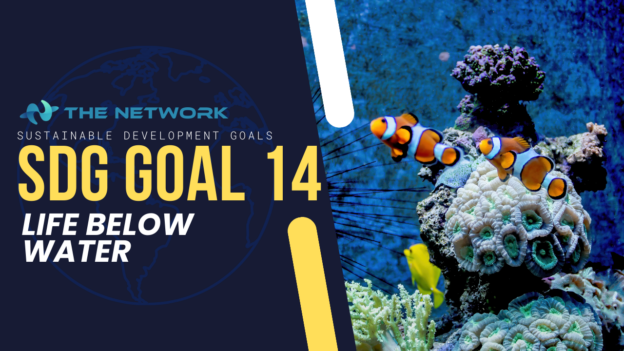 Sustainable Development Goal 14 - Life Below Water - The Network
