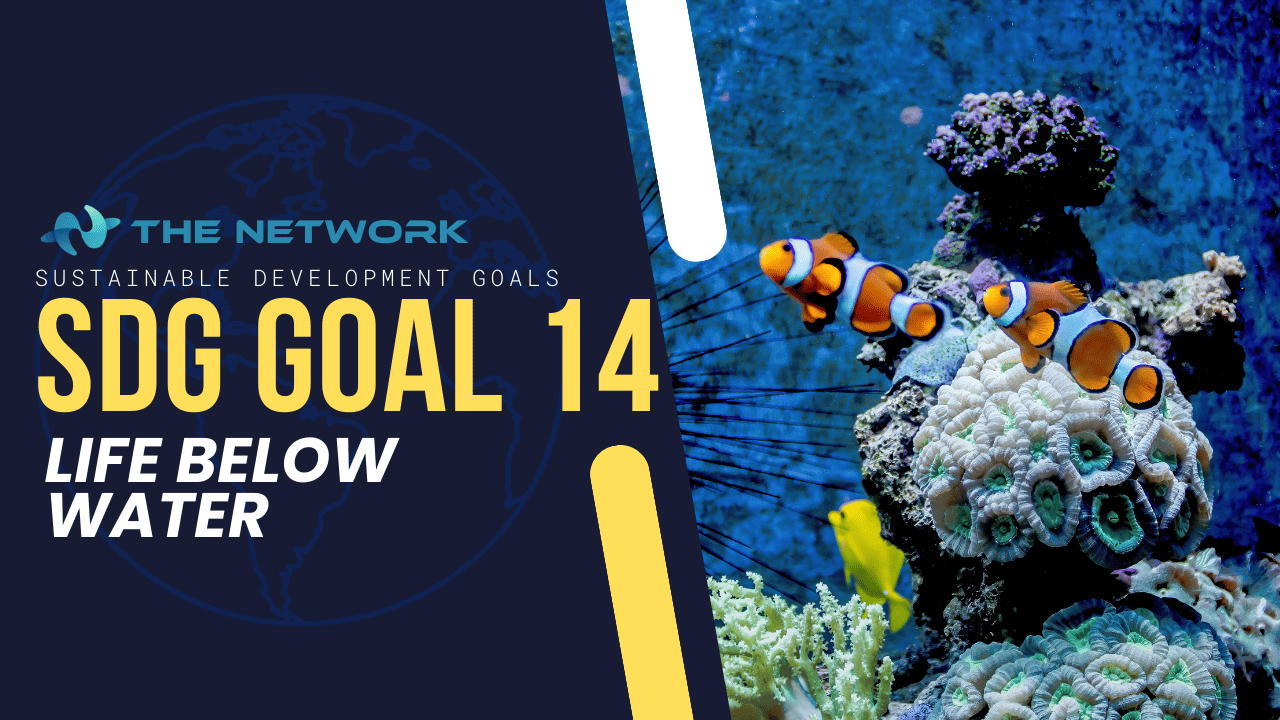 Sustainable Development Goal 14 - Life Below Water - The Network