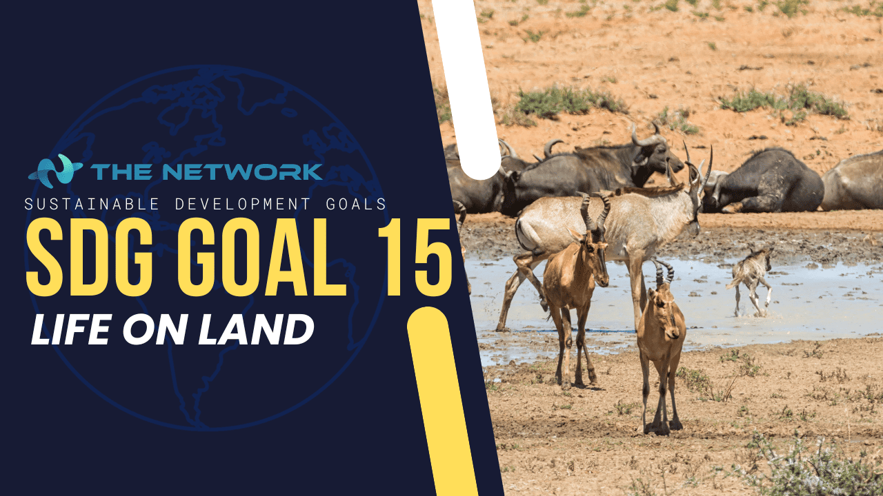 Sustainable Development Goal 15 Life On Land The Network