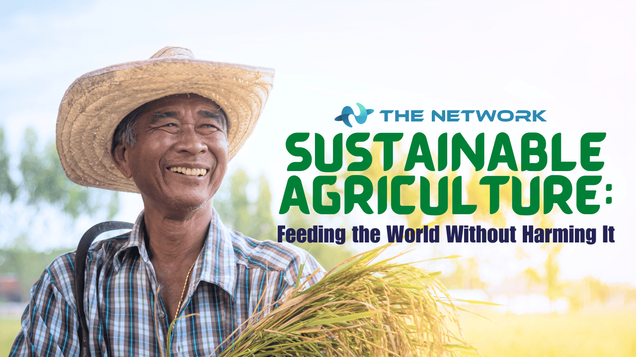 Sustainable Agriculture: Feeding the World Without Harming It - The Network