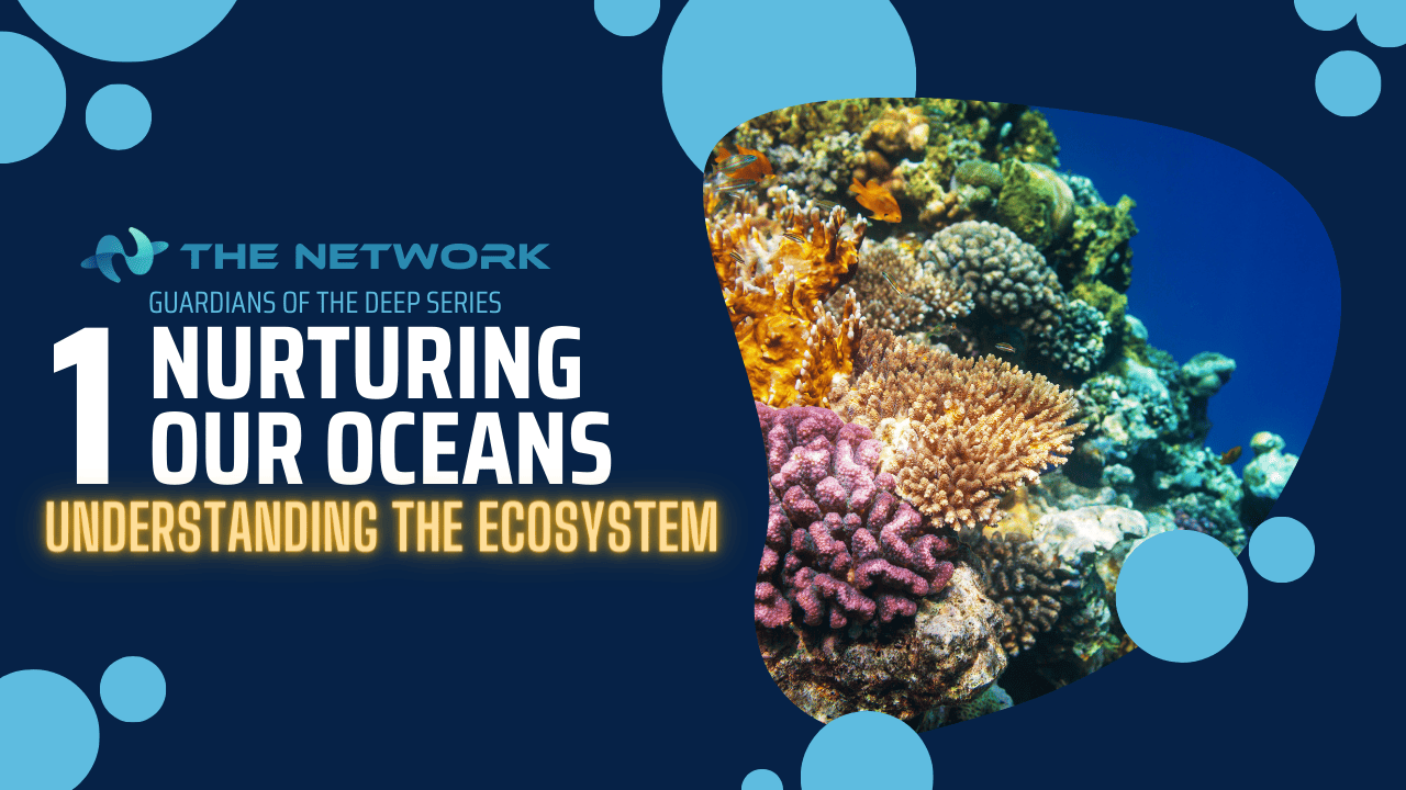 Nurturing Our Oceans - Understanding the Ecosystem - The Network