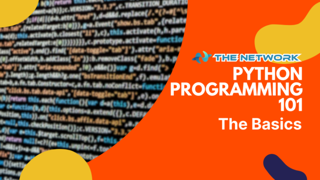Python Programming 101: The Basics - The Network
