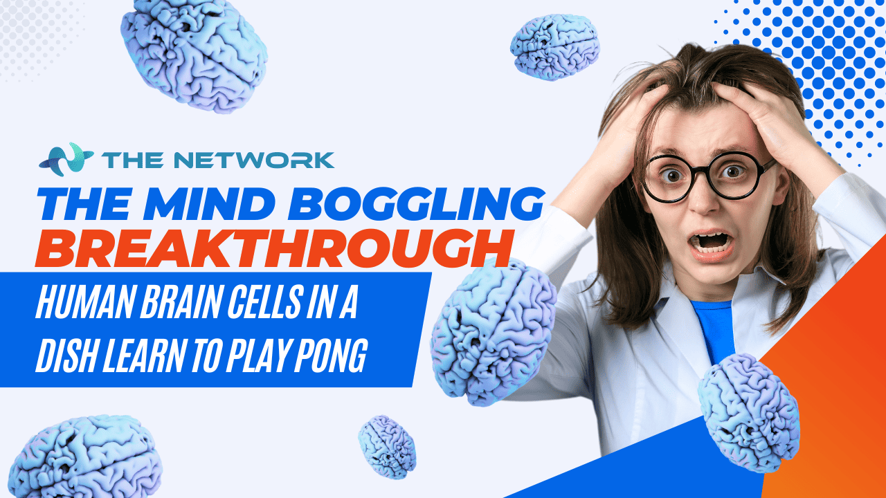 The Mind-Boggling Breakthrough: Human Brain Cells in a Dish Learn to ...