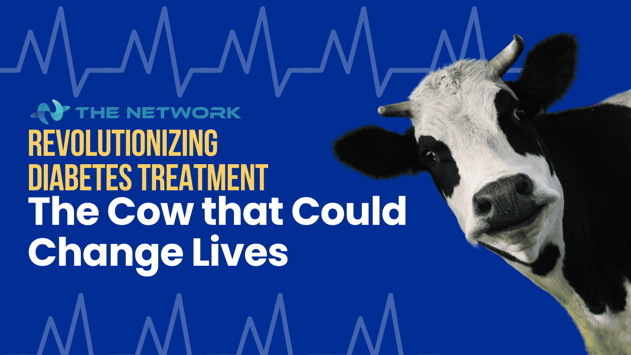 Revolutionizing Diabetes Treatment: The Cow that Could Change Lives ...